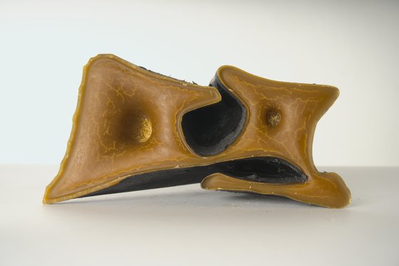 AP 3-D Art and Design | 2022 AP Art and Design Exhibit