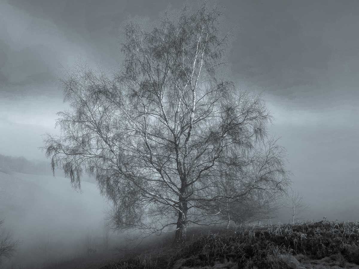 AP 2-D Art and Design | 2025 AP Art and Design Exhibit